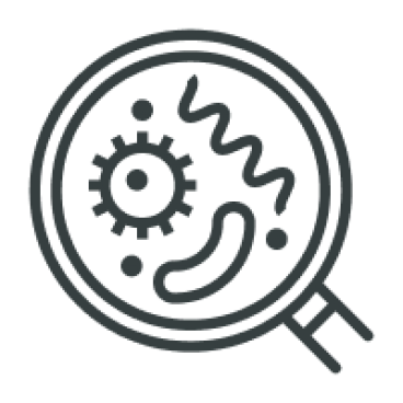 The Australian Immunisation Handbook